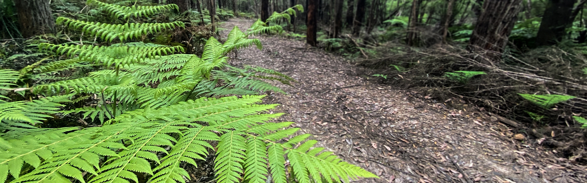 kingdom of God discipleship experience - journey of discovery